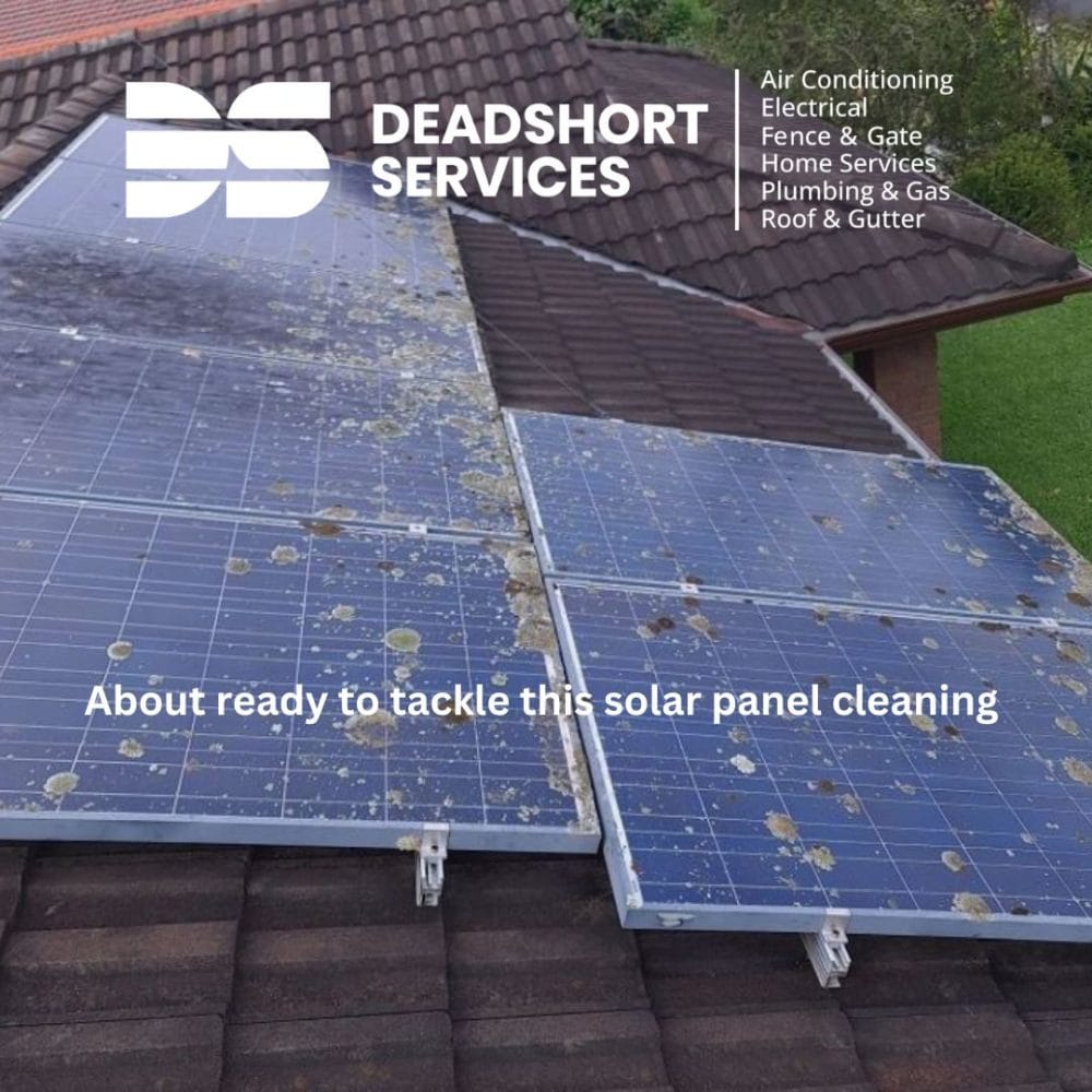 Roof - Deadshort Services